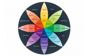 Wheel of Emotions: The Most Useful Tools a Man Can Use To Manage His ...
